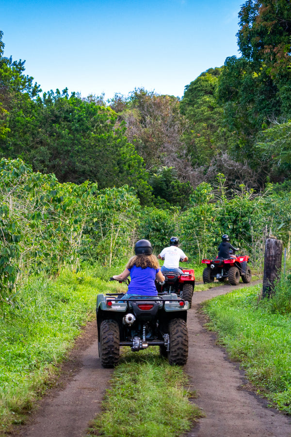 Aloha Adventure Farm Shop